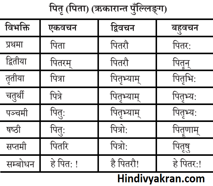पितृ शब्द रूप संस्कृत में – Pitra Shabd Roop In Sanskrit | HindiVyakran