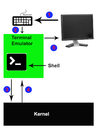 Basic of Shell | Shell Type | Shell Command Execution Process | Command ...