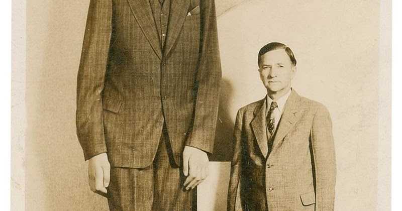 Top 10 Tallest Person In The World