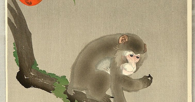 Chinese Astrology, I Ching, and Feng Shui by Raphael Simons: Chinese ...