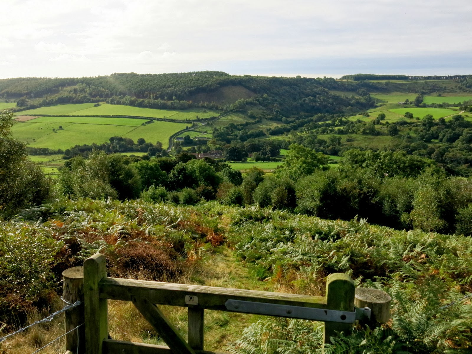 Walking in North Yorkshire