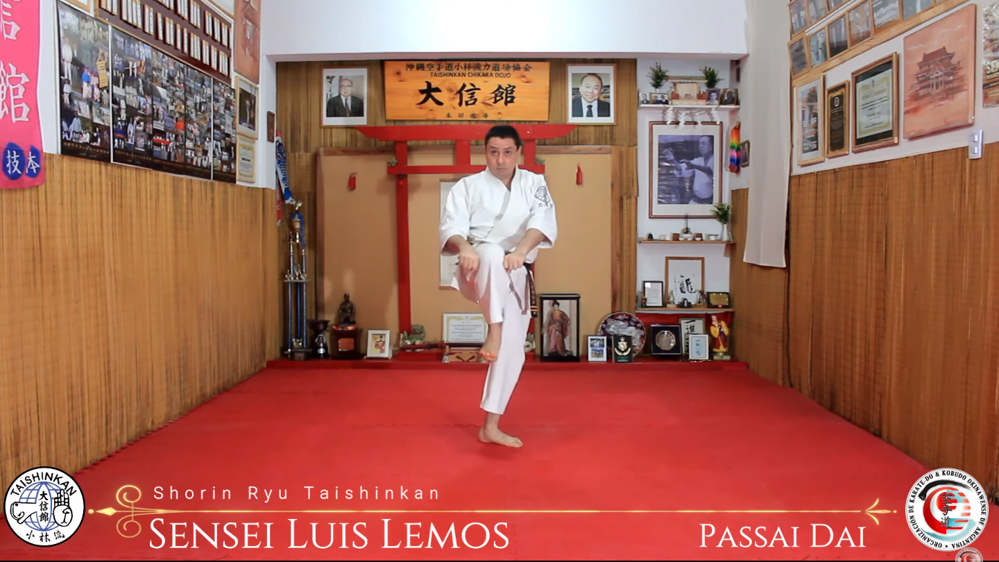 SHORIN RYU TAISHINKAN: EL TAISHINKAN CHIKARA DOJO PARTICIPO DE LOS FESTEJOS DEL "OKINAWA KARATE ...