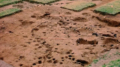 bensozia: Mesolithic House Reconstructed at University College Dublin