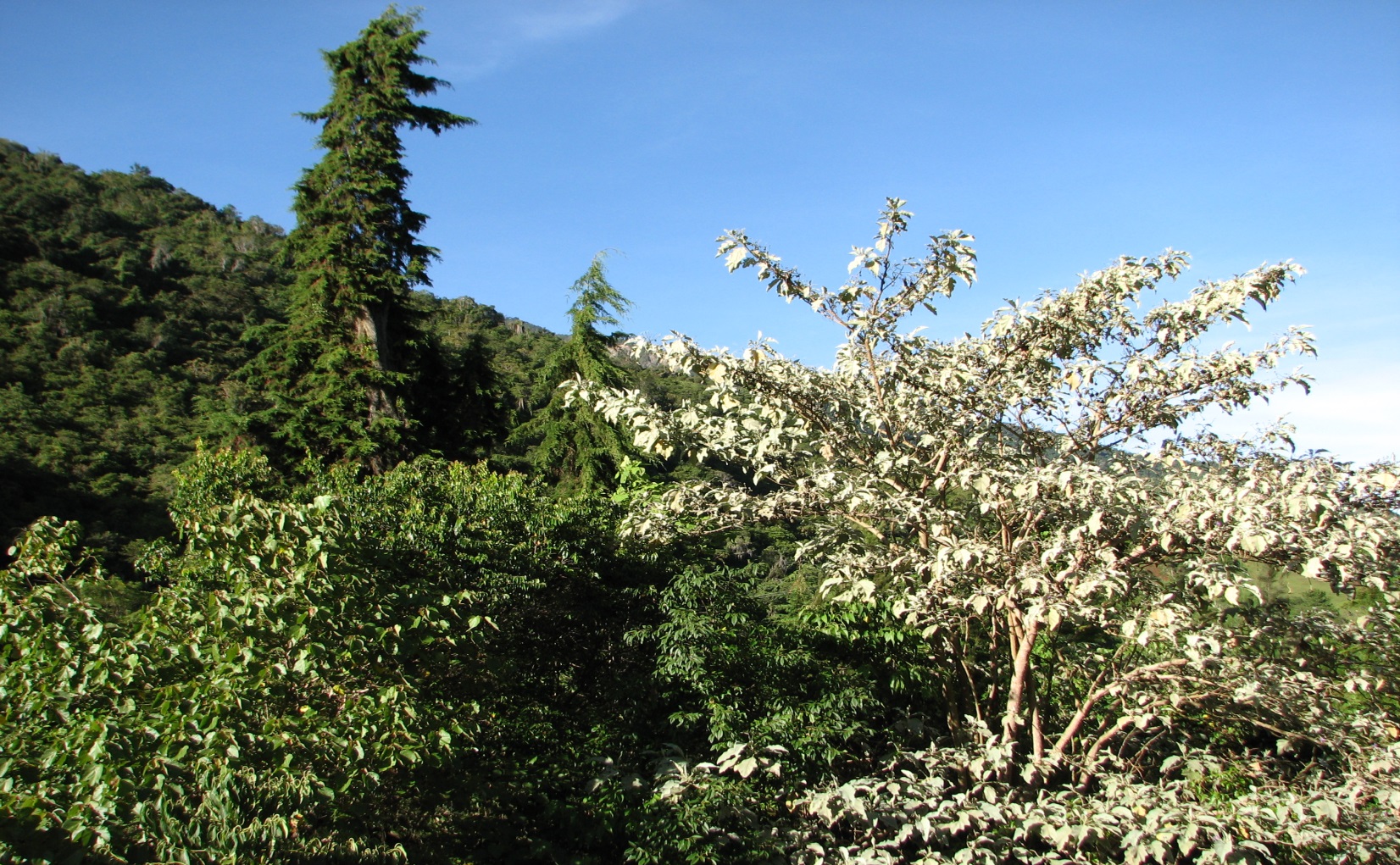 Visitando al Pueblo de Tabay