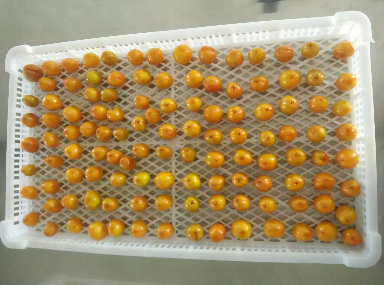 Bwaypeeler: Automatic Cherry destoning machine(cherry pitter)