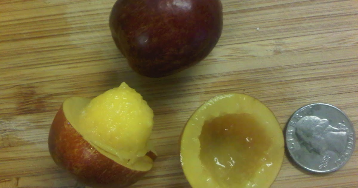 Siniguelas Fruit Tree