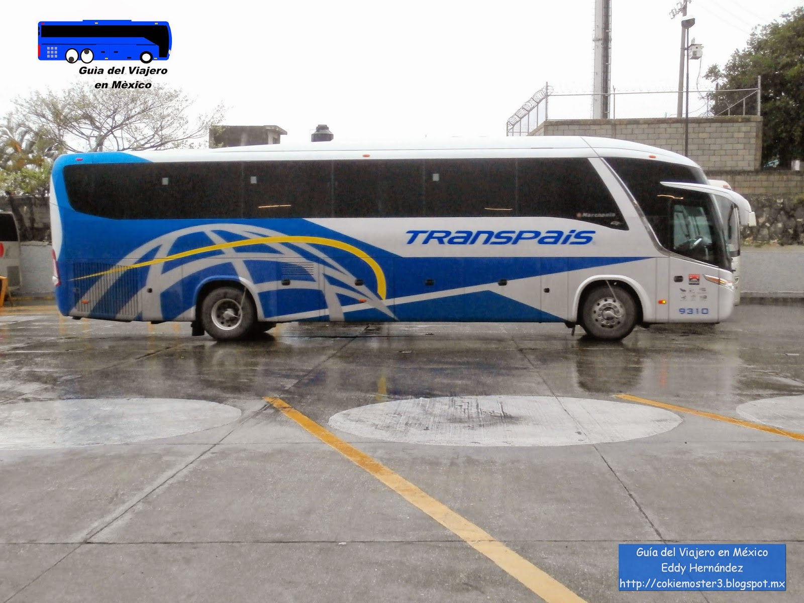 La Nueva Guia del Viajero en Mexico: Transportes Transpais