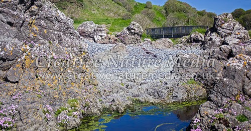 Creative Nature Blog: Dunskey Glen Circular Through Port Kale and Port Mora