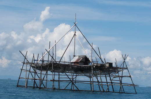 LAMURU BUKKANG: BAGANG TANCAP