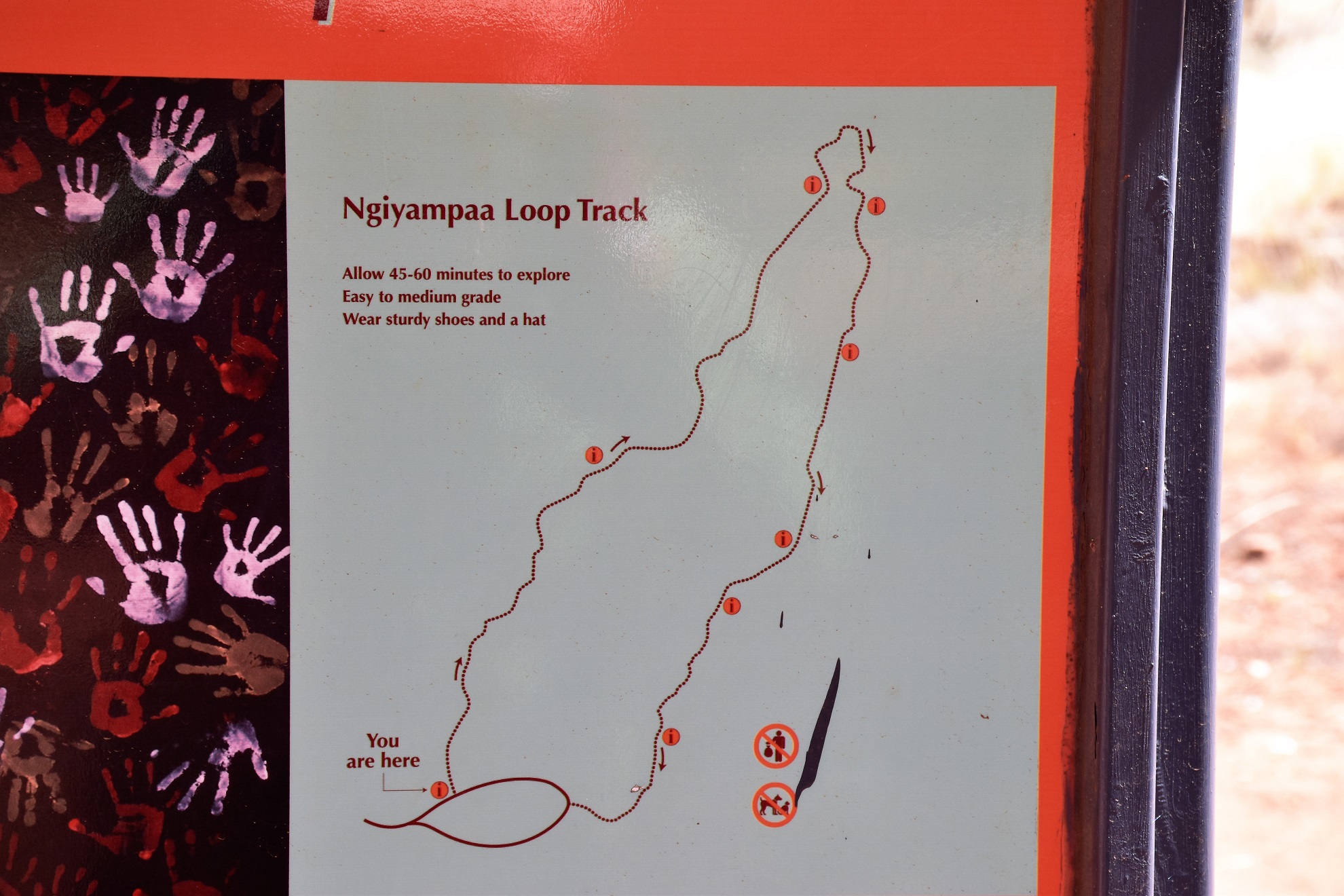 Goin' Feral One Day At A Time: Ngiyampaa Walkabout, Mt Grenfell ...