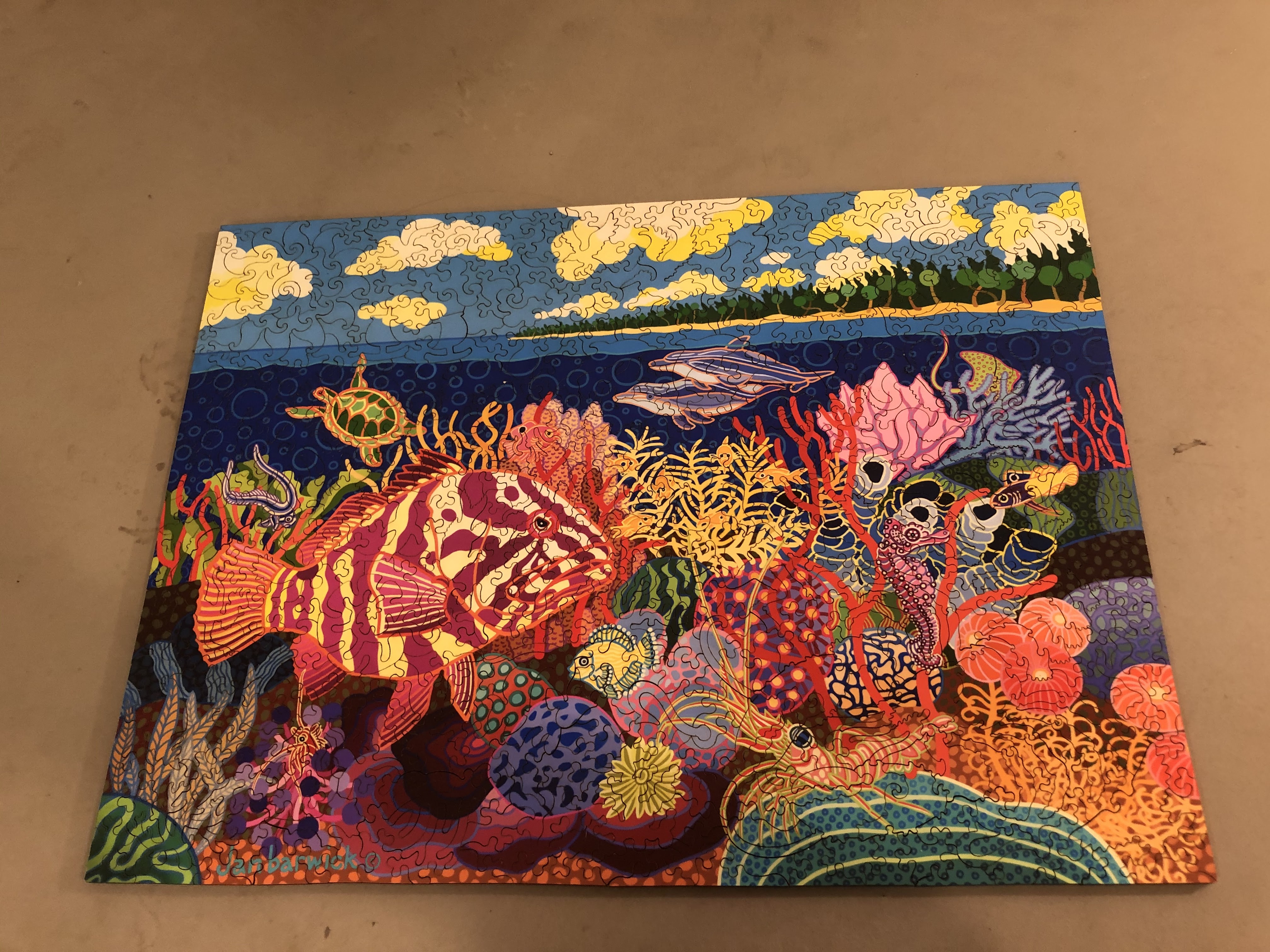 Rebecca's Wooden Jigsaw Puzzles: Dolphin's Wake, Jan Barwick