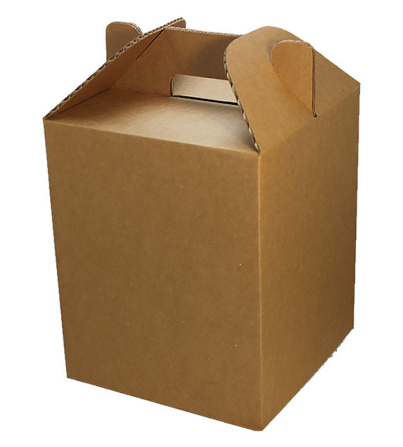 Custom Packaging Product Boxes: The handle on top of these boxes make ...
