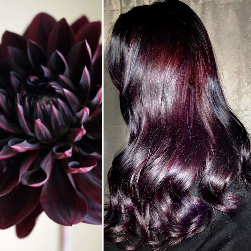 Hairstylist Is Inspired By Nature To Create Colored Hair