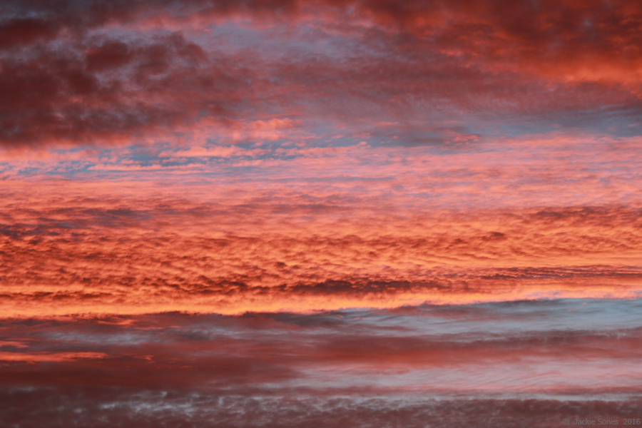The Natural History of Bodega Head: Solstice sunset