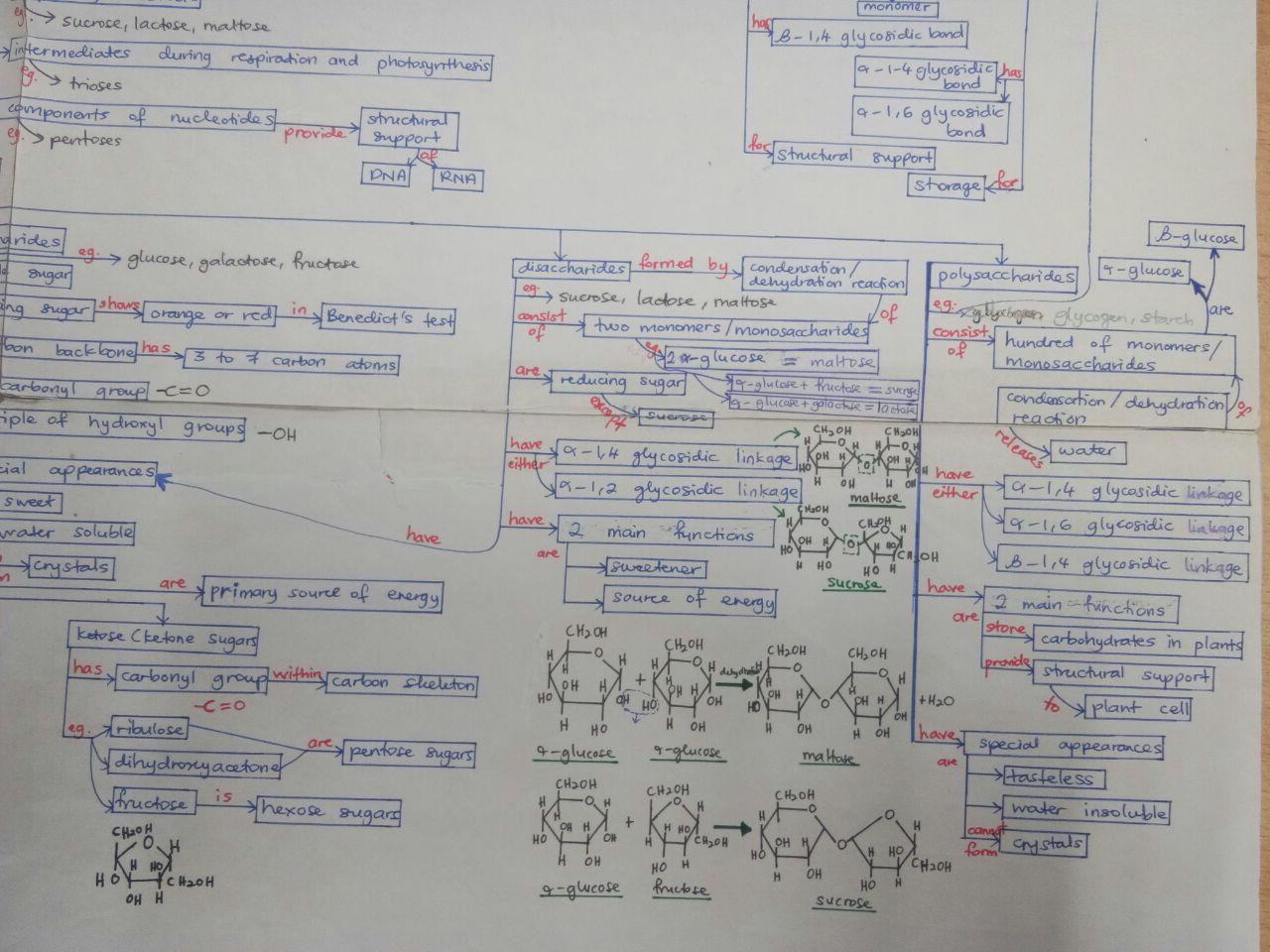 BIOLOGY is to serve mankind...: Concept map: MOLECULES OF LIFE