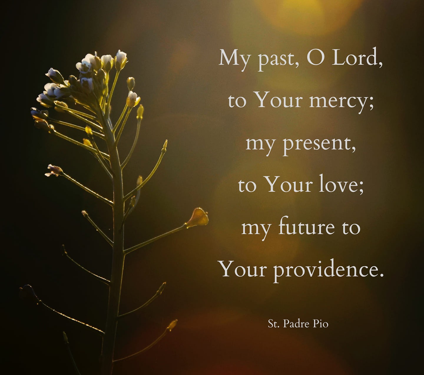 Daily Prayer: prayer of commitment