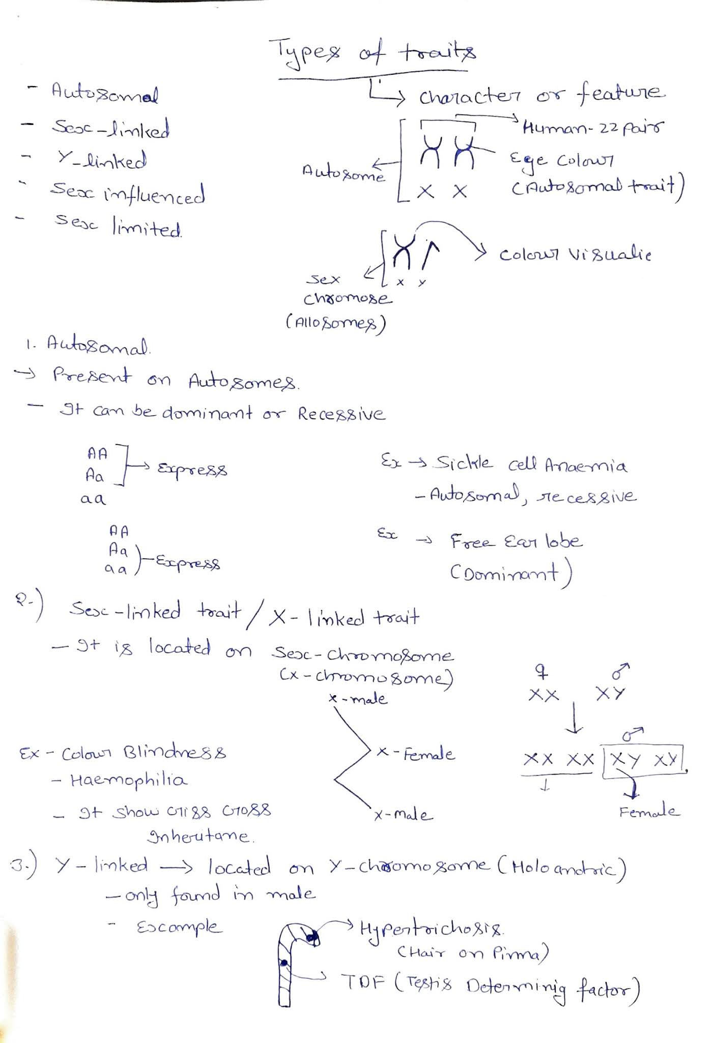 Principles of Inheritance and variation class 12 notes - Studypur