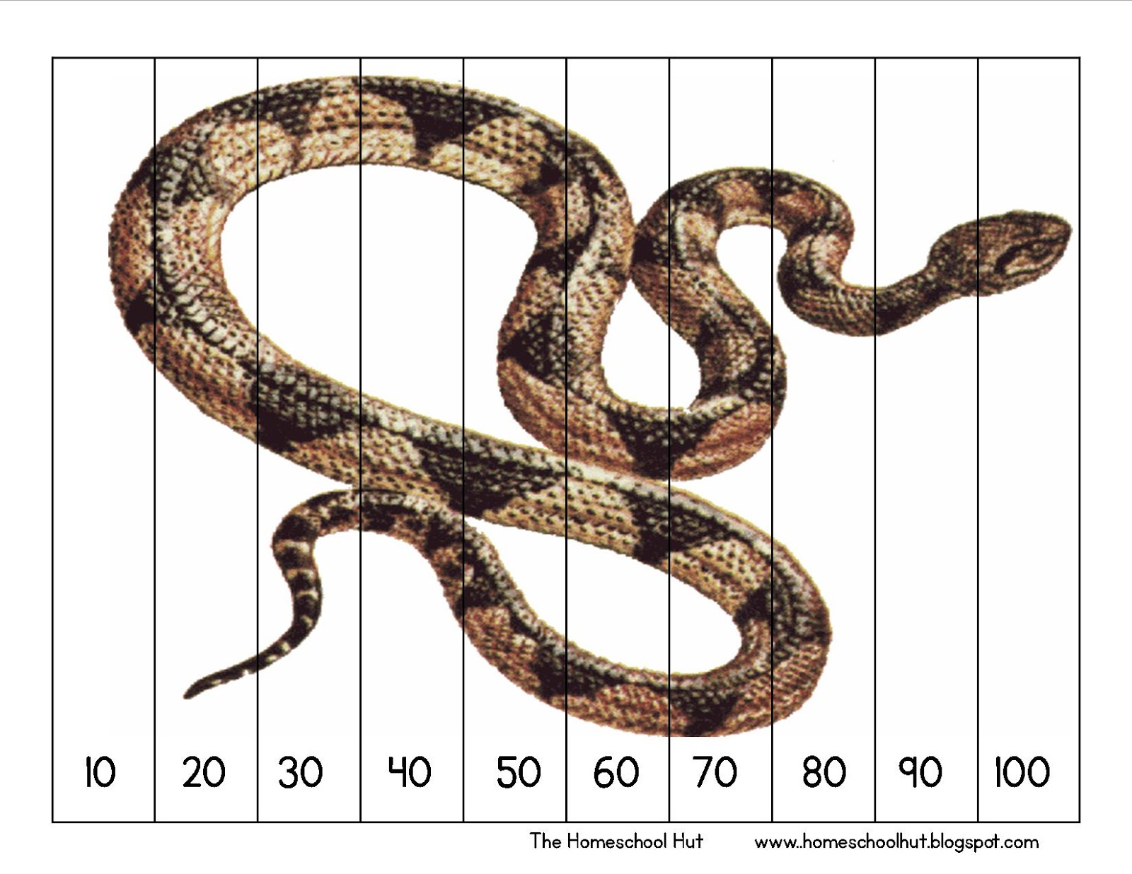 The Homeschool Hut Snake By 10 Puzzle Count By 10 s the-homeschool-hut-snake-by-10-puzzle-count-by-10-s