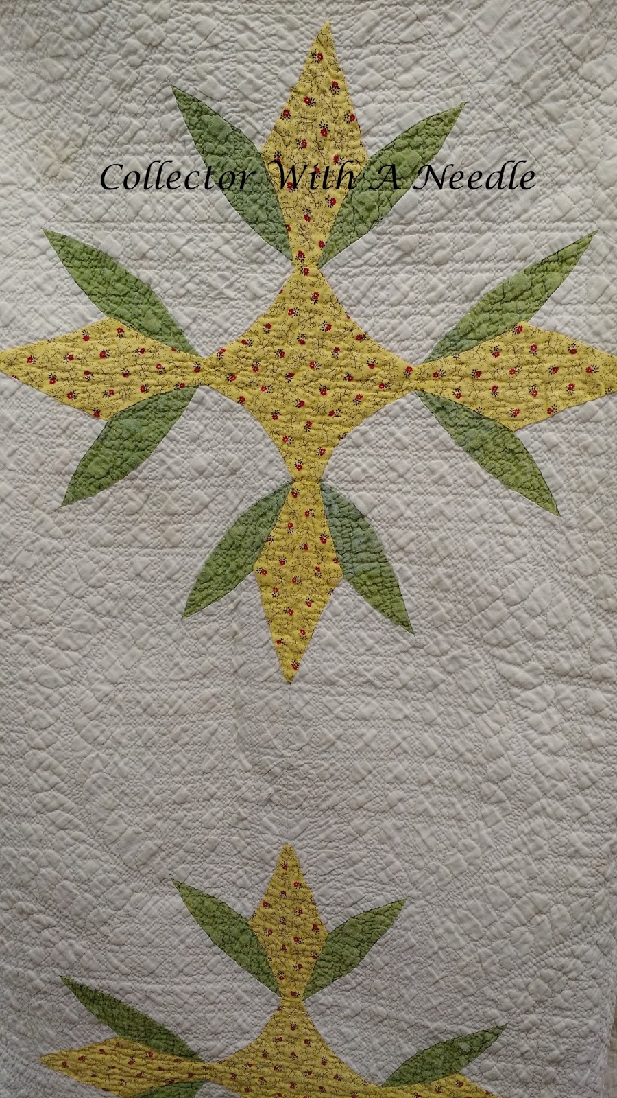 Collector With A Needle: Turkey Tracks or Wandering Foot - Looking at Clues