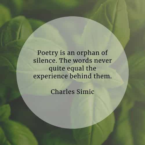50 Poetry quotes that will inspire your mind and soul