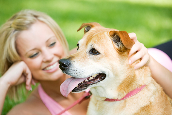 Wholesale pet supplies - Discount Pet supplies - Vet Supplies: Discount ... Wholesale pet supplies - Discount Pet supplies - Vet Supplies: Discount ...