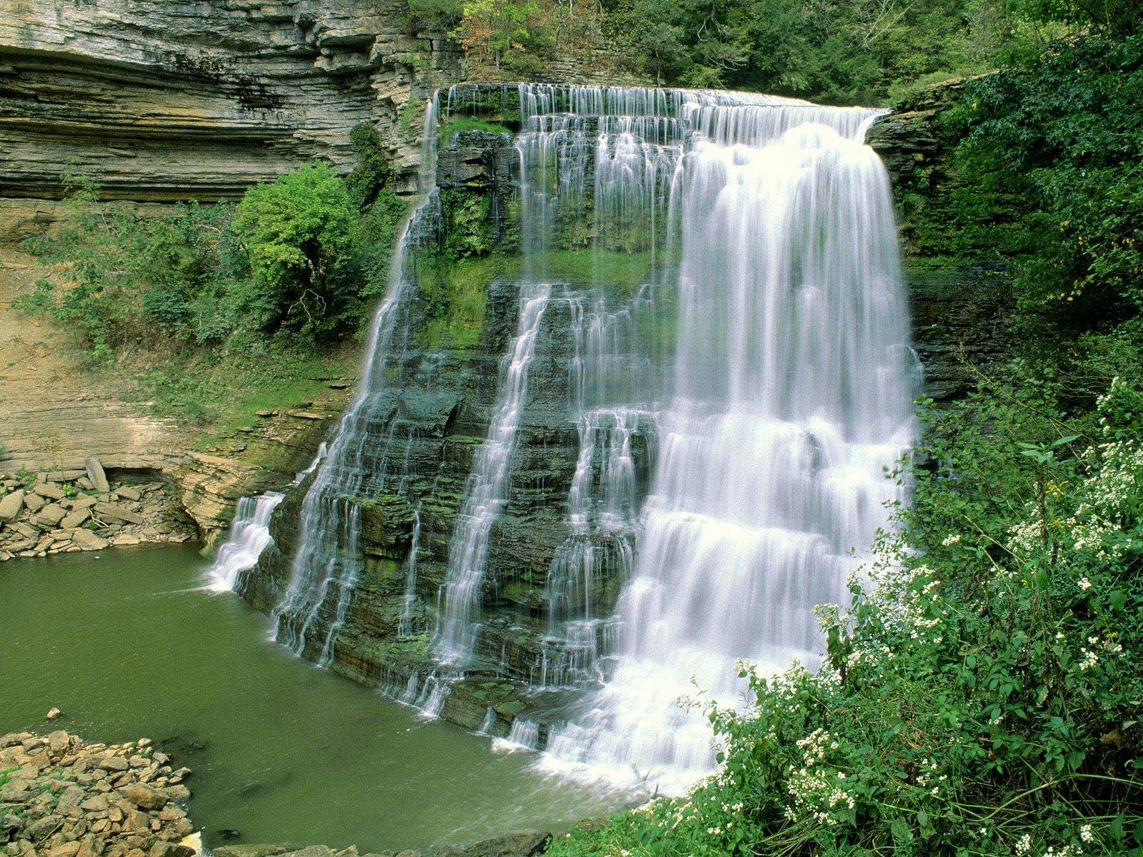 Nature Of Natural 3 Excellent Natural 3 Beautiful Natural 3 Unseen