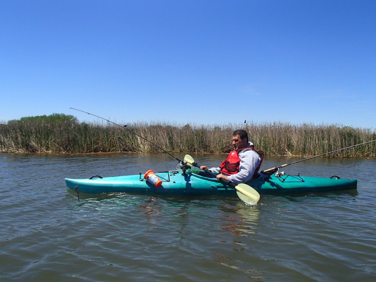kayaker67adventures: Long Point Provincial Park Kayaking
