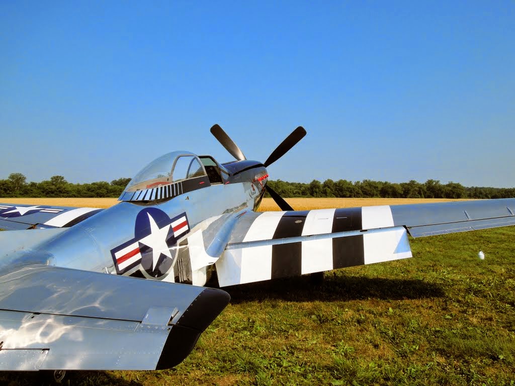 Photographic Logbook: The Greatest Show on Turf, 2014