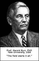 Energias: Junho 2016