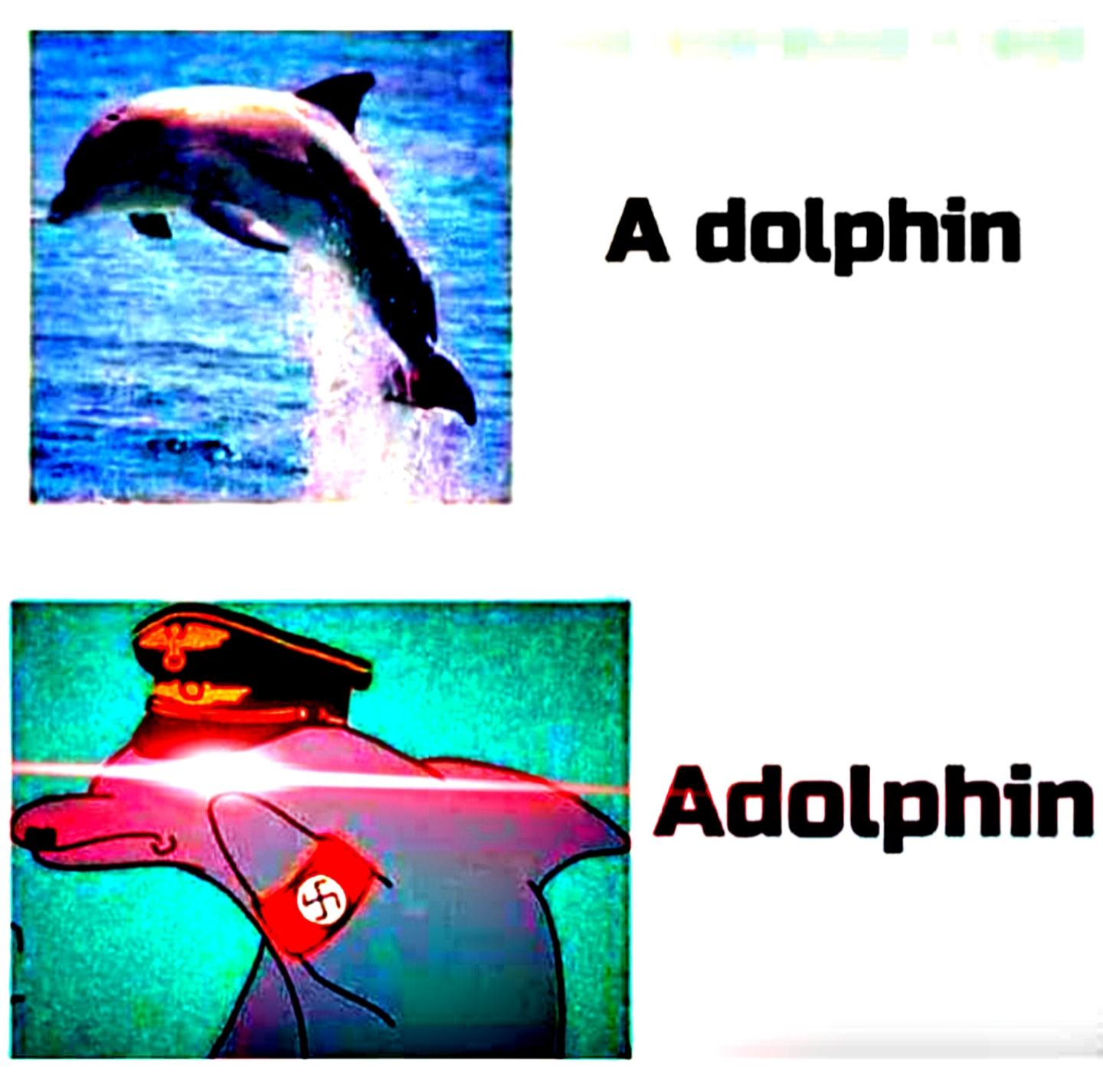 Hitleriffic - More fun than a barrel full of Nazis™: A dolphin vs adolphin
