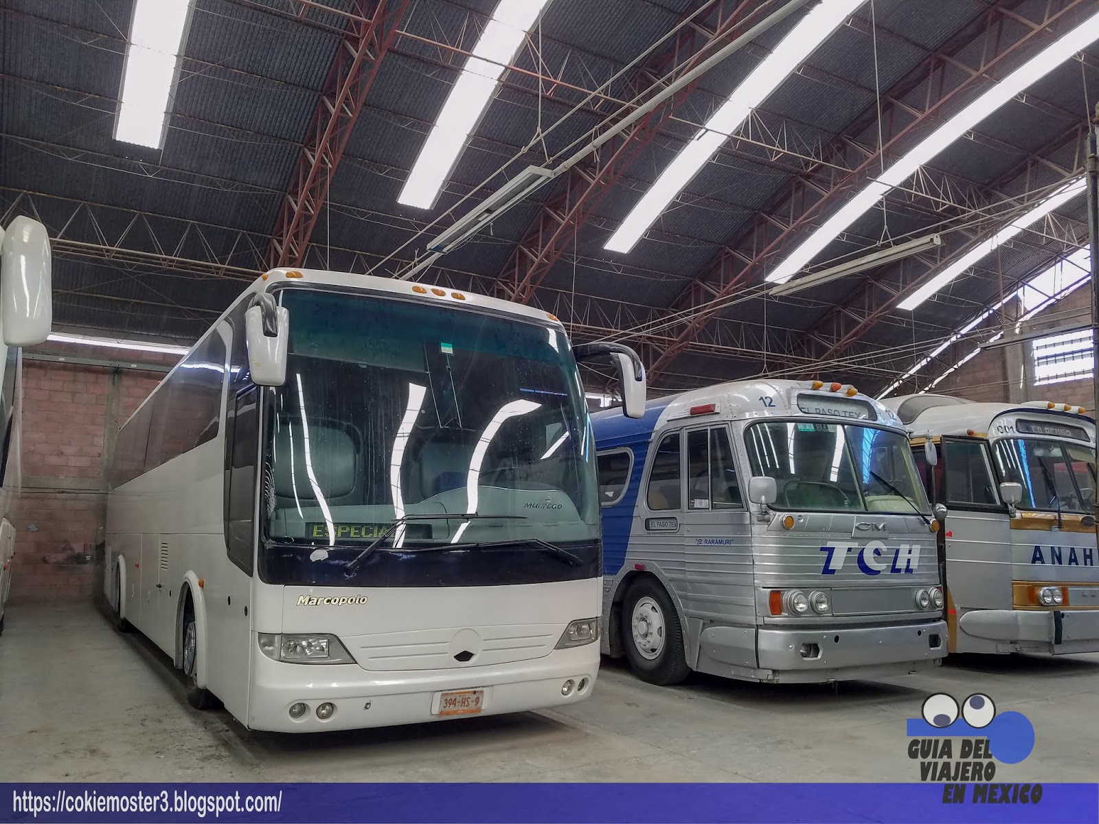 Conoce la colección de autobuses clásicos de Estrella Blanca