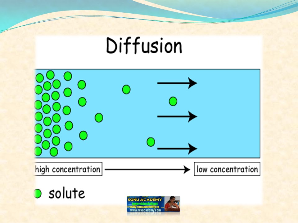 SONU ACADEMY: DIFFUSION-TEXT