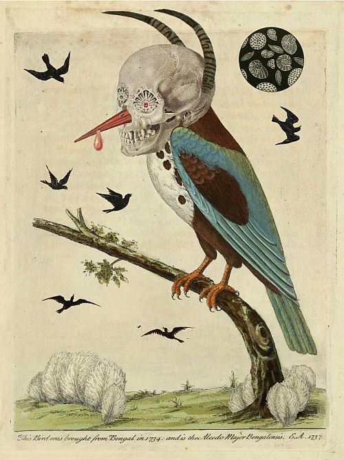 The Art Out There: John Clowder