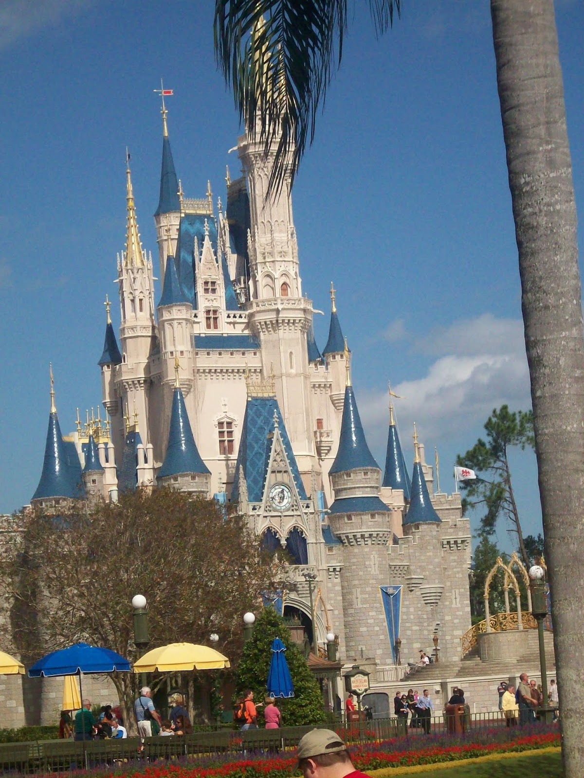 Weekly Disney Rumor Update 5/31/19