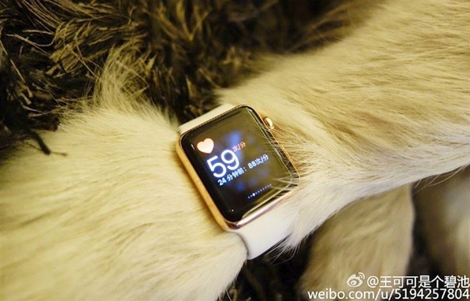 Tecnoneo: Perro husky recibe un regalo de 2 de Apple Wacht Gold del ...