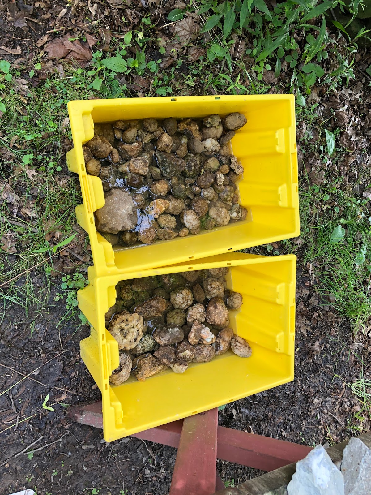 Geode hunting near Bloomington Indiana – Digital Rockhound's Site