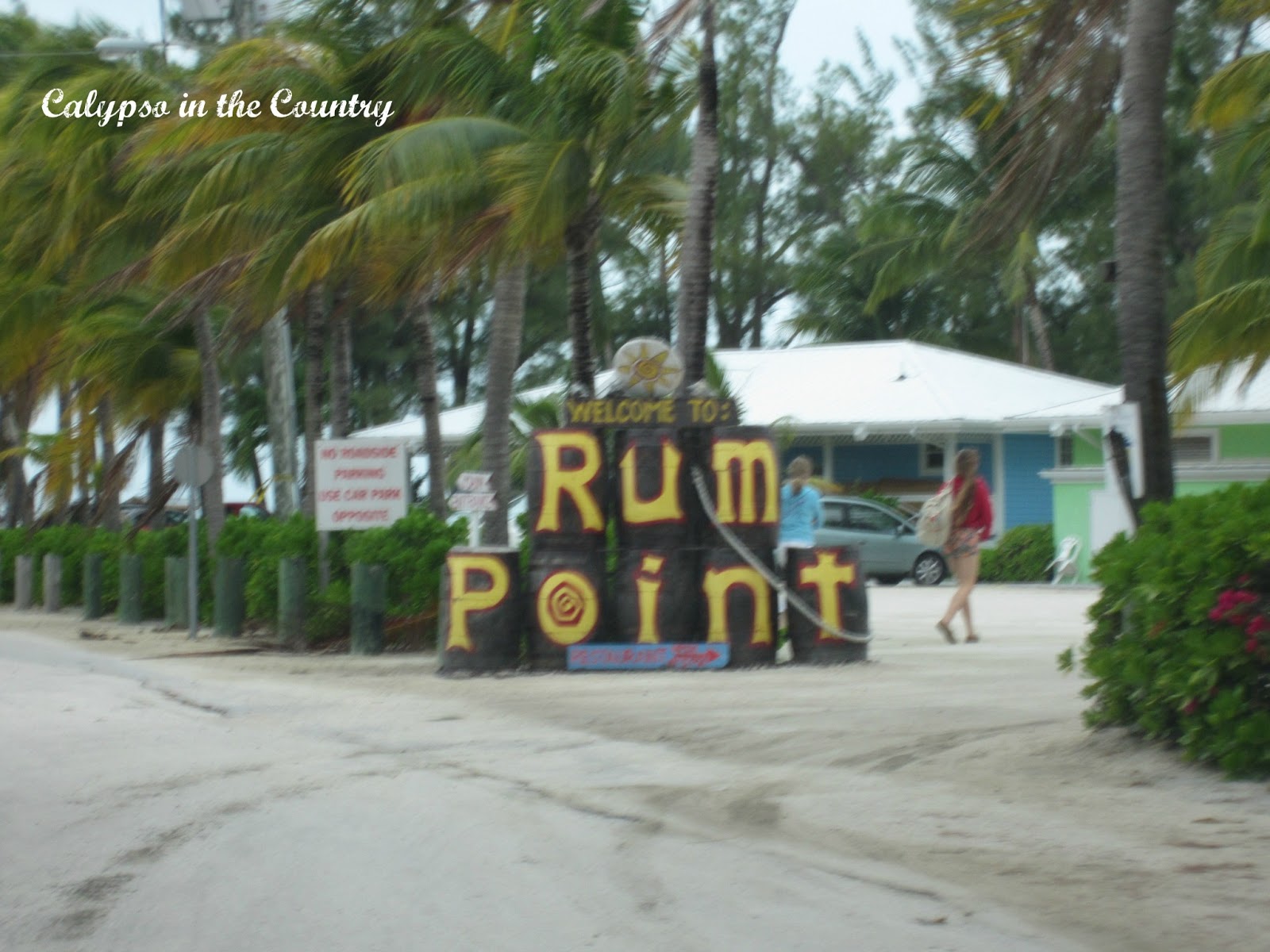 Grand Cayman - Helpful Travel Tips for Families - Calypso in the Country