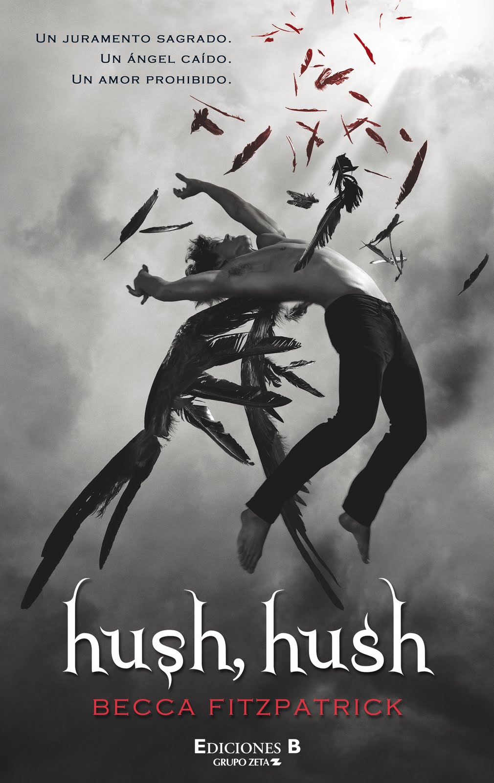 Nyra Escribiendo...: Crítica: HUSH, HUSH de Becca Fitzpatrick