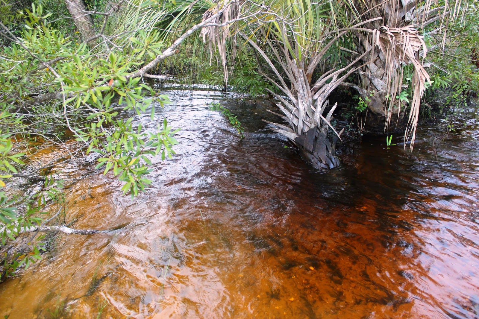 Take Another Road: Hunting and Fishing Babcock Ranch