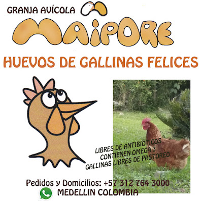 Distribuidora y Gallinas ponedoras, Guatemala (+50256203943)