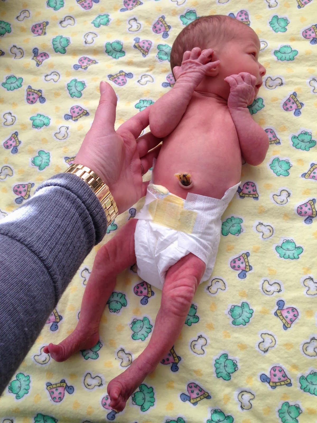 Another Mormon Mommy Blog: Life after twin pregnancy: The first two weeks