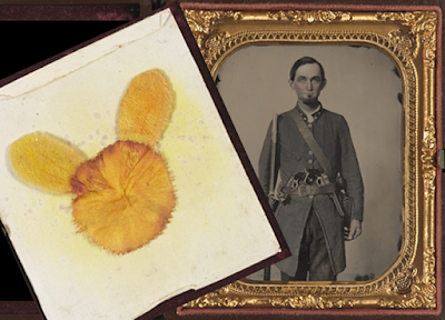 Civil War Quilts: May 2020