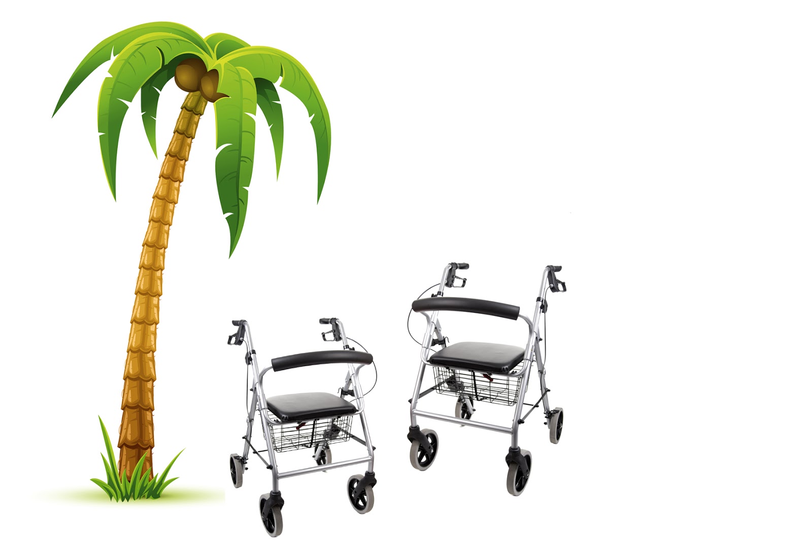 Liz Coley Books: PLAYS