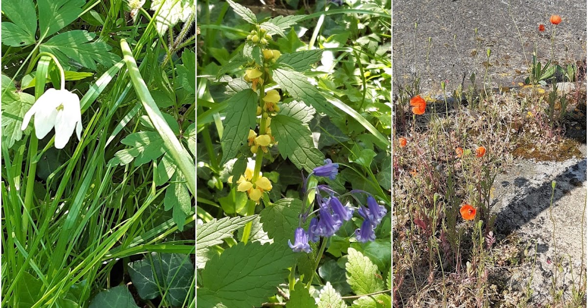 Mod abbey wood site plan ~ Wood outdoor planter box plans