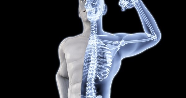 Building Better Bones