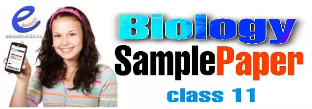 Biology Sample Paper Class 11 Edunation19 biology-sample-paper-class-11-edunation19