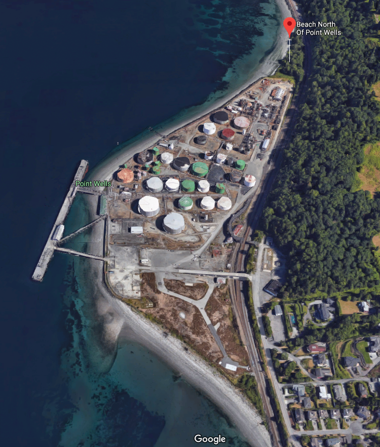 Shoreline Area News: Comment on Point Wells by midnight November 24, 2020