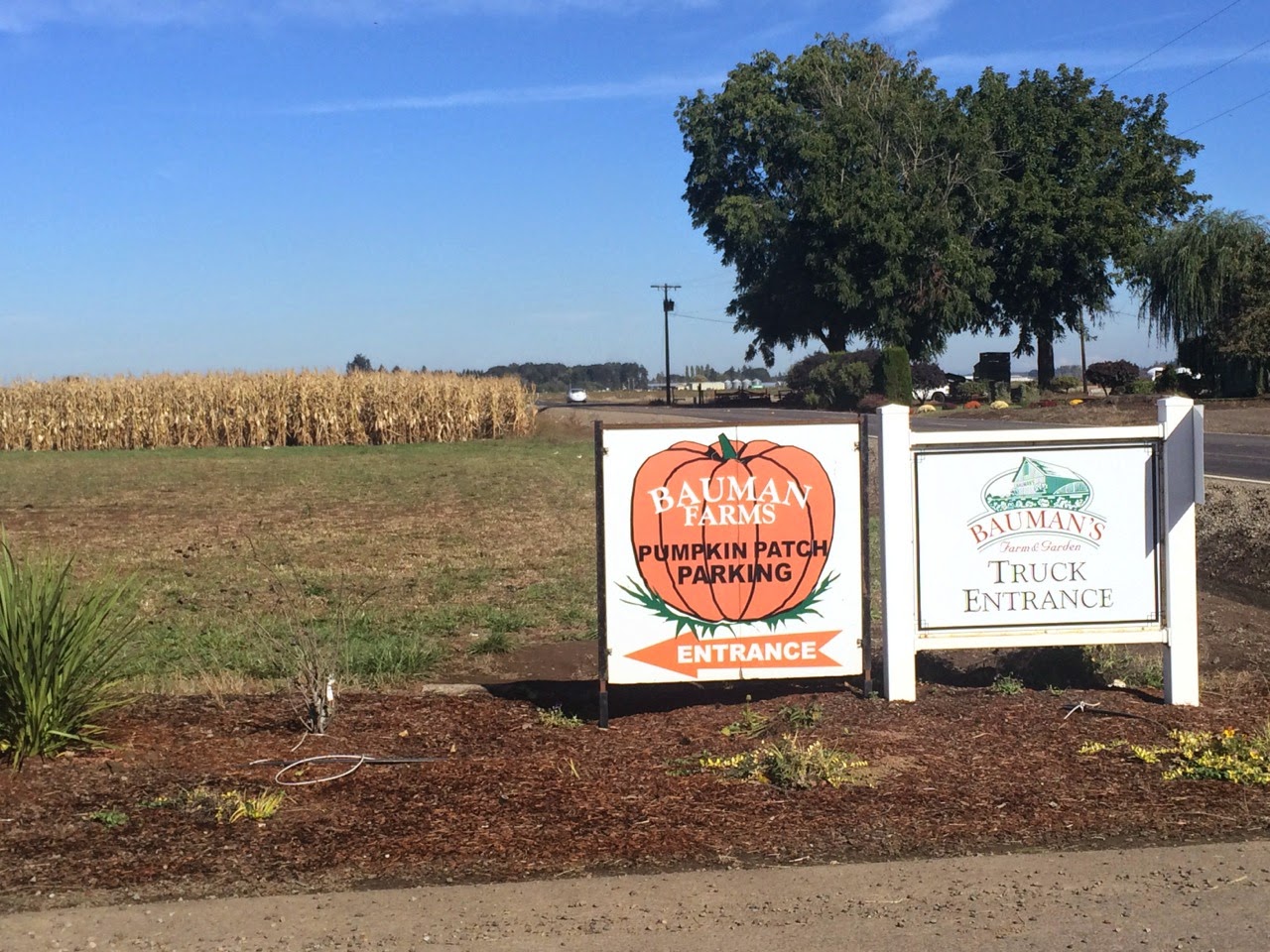 The Cozy Corner: Bauman Farms