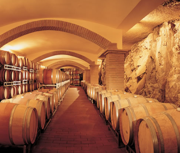 Capannelle Solare - John Fodera's Tuscan Vines