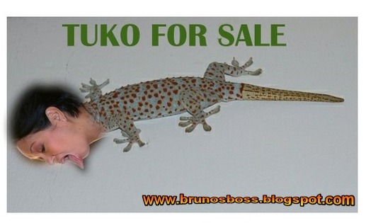 RONNIE'S BAWAL ANG NAKASIMANGOT DITO: TUKO FOR SALE